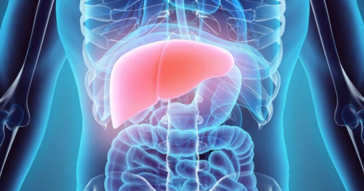 Addiction and The Body