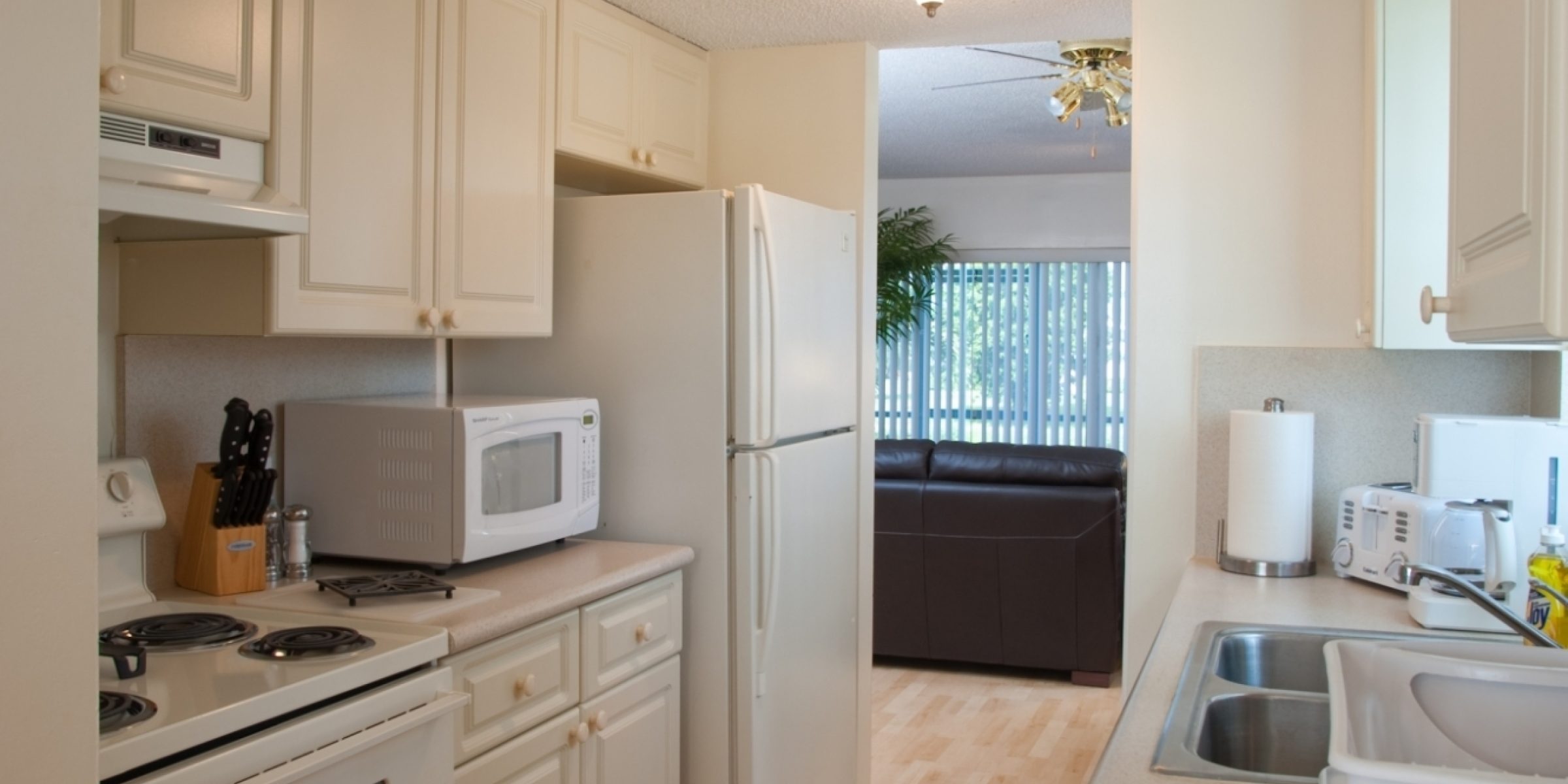 Caron Florida Renaissance Program