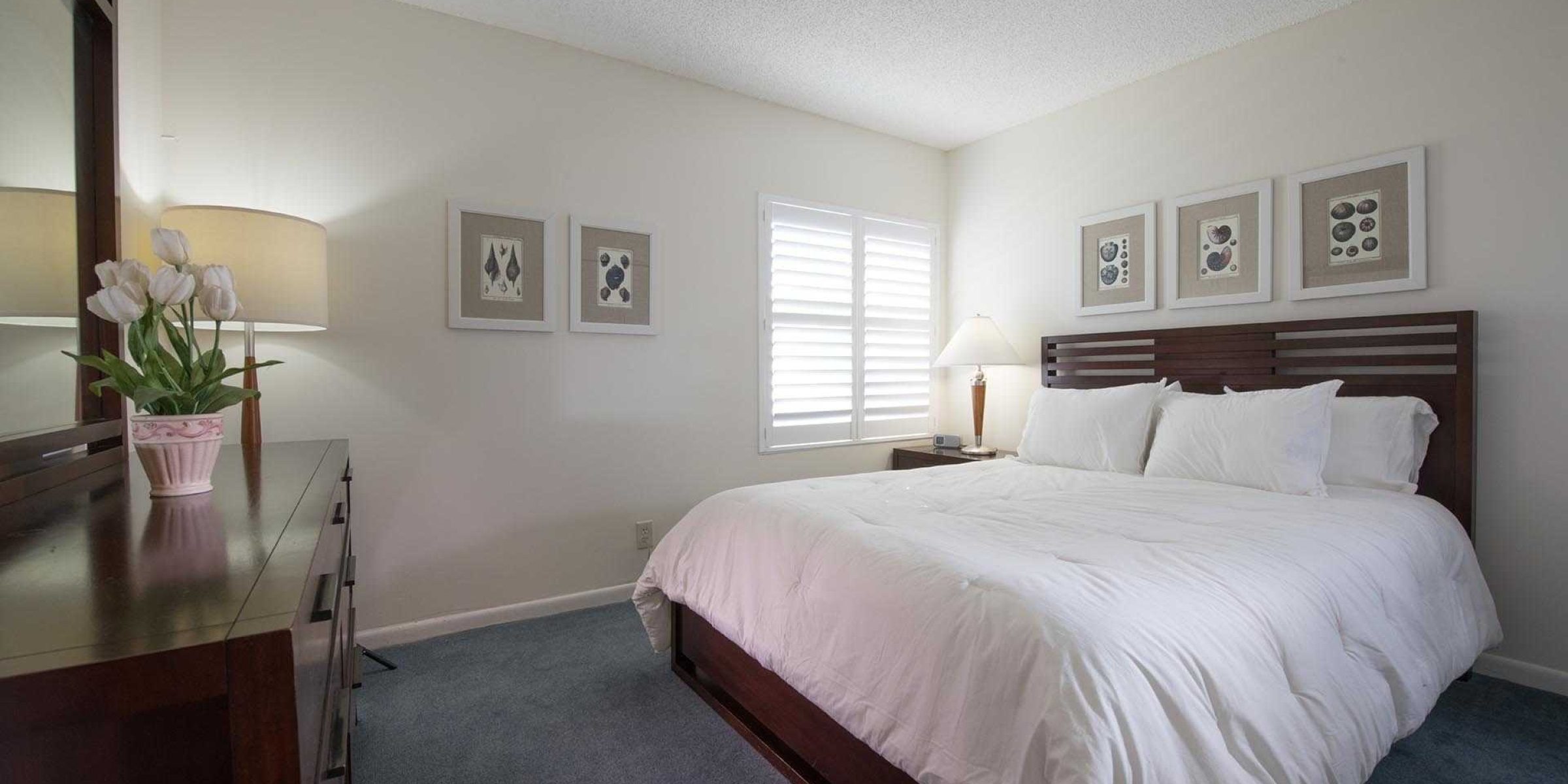 Caron Florida Renaissance Program