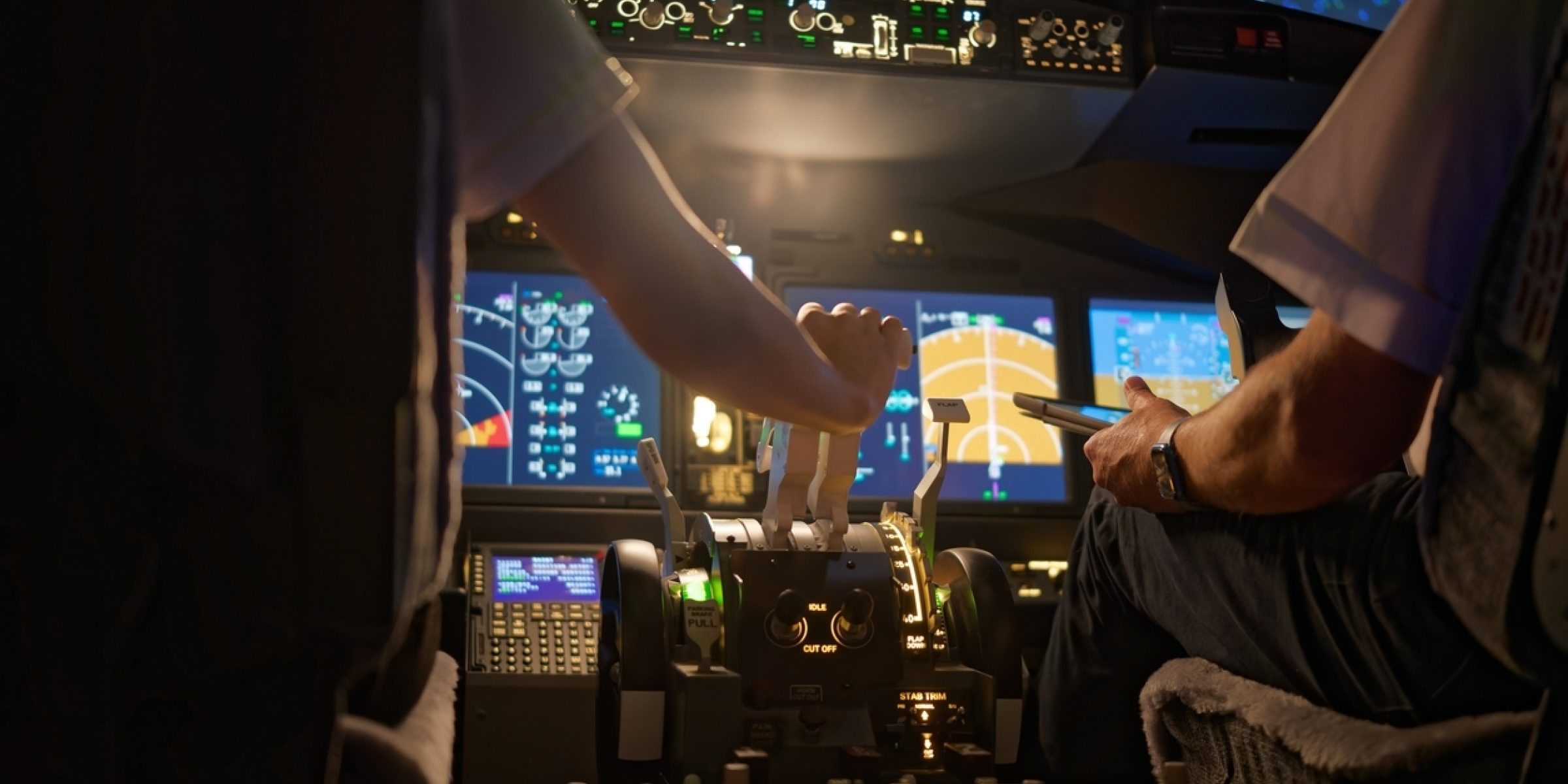 Aviation Professionals Program